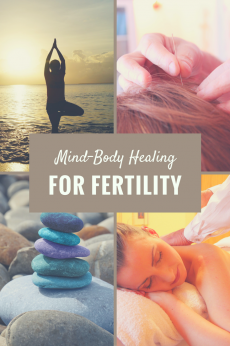 Get Pregnant with a Fertility Mind-Body Program