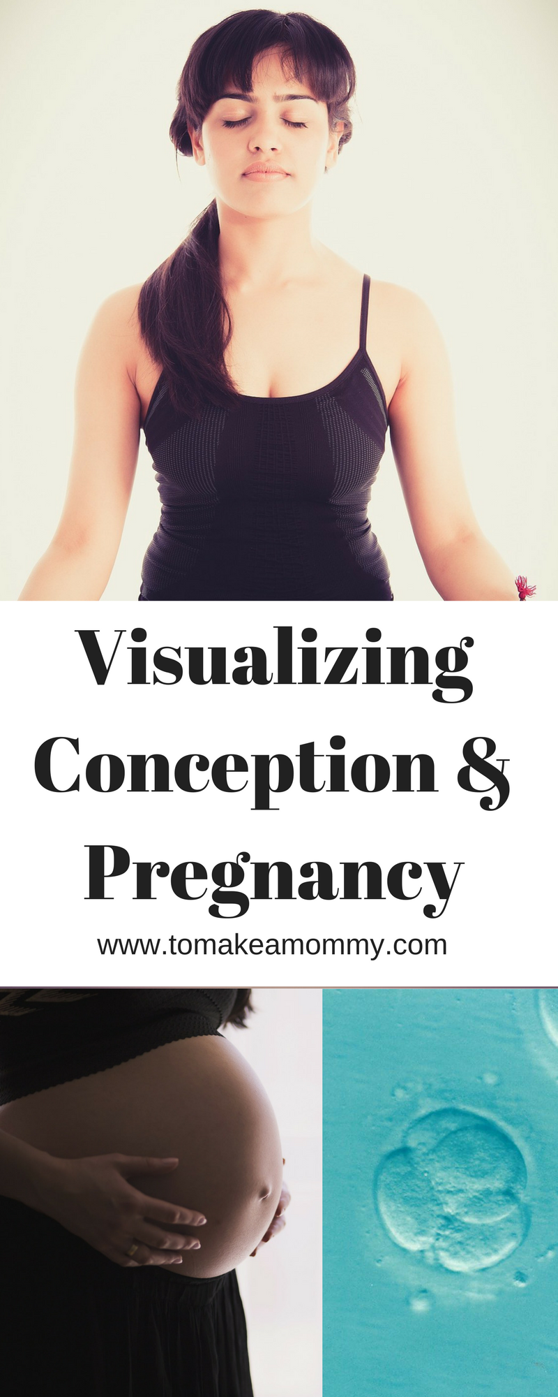 Visualization and Guided Imagery for Fertility and Conception - To Make ...