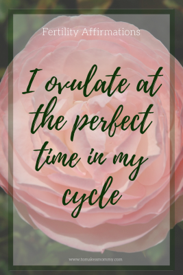 75 Effective Fertility Affirmations and Mantras - To Make a Mommy