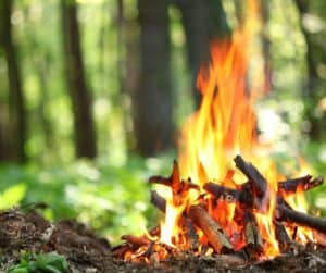 How to Celebrate Beltane: Beltane Fertility Rituals - To Make a Mommy