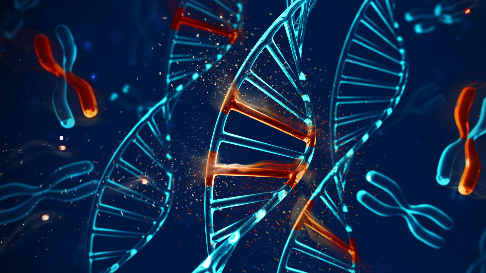 Nutrigenomics & Fertility: Feeding Your Genes When Trying to Conceive - To Make a Mommy